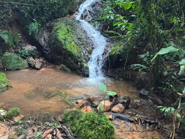 Sítio / Chácara para Venda em Águas Mornas/SC Colônia Santa Isabel