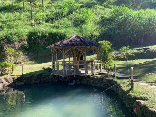 Sítio / Chácara para Venda em Águas Mornas/SC Vila Nova 3 Quartos