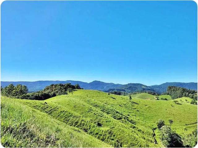 Sítio / Chácara para Venda em Águas Mornas/SC Estrada Rio Do Cedro 1 Quartos