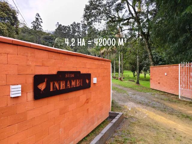Sítio / Chácara para Venda em Águas Mornas/SC Zona Rural