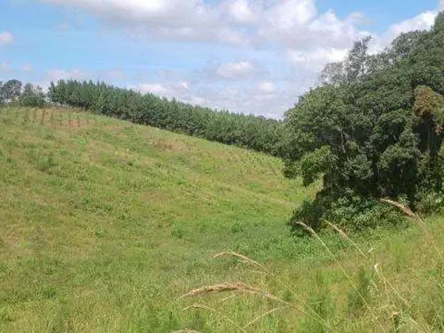 Sítio / Chácara para Venda em Agudos do Sul/PR Pavãozinho