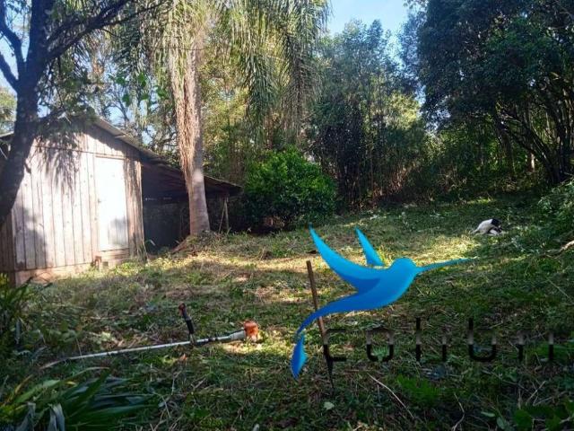 Sítio / Chácara para Venda em Agudos do Sul/PR Ribeirãozinho 1 Quartos