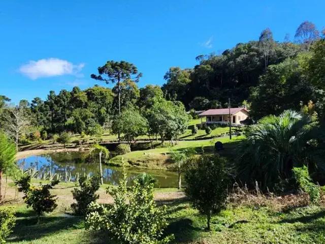 Sítio / Chácara para Venda em Agudos do Sul/PR Zona Rural