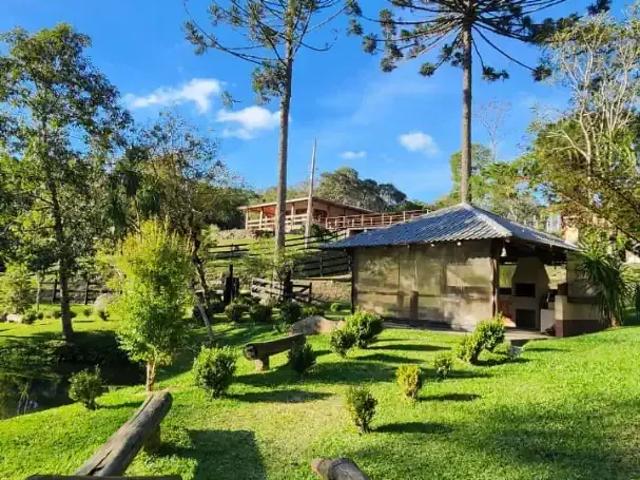 Sítio / Chácara para Venda em Agudos do Sul/PR Zona Rural