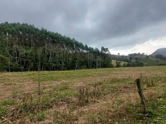 Sítio / Chácara para Venda em Agrolândia/SC Serra dos Alves
