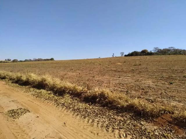 Sítio / Chácara para Venda em Altinópolis/SP Zona Rural