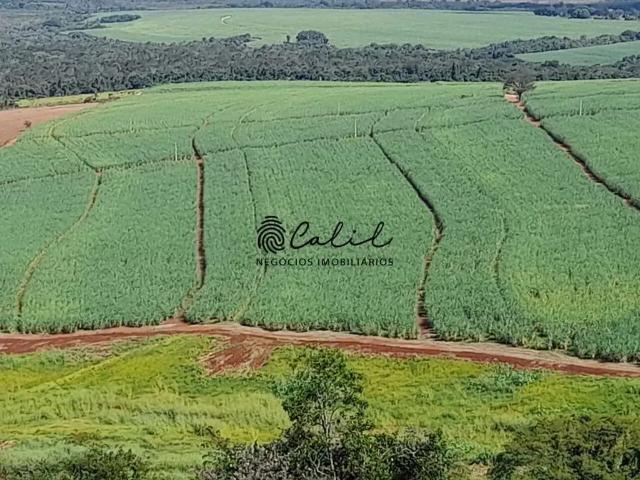 Sítio / Chácara para Venda em Altinópolis/SP Centro 1 Quartos