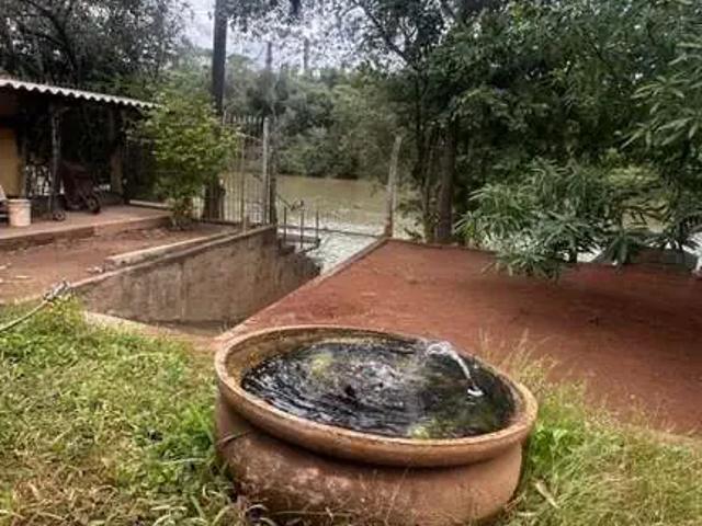 Sítio / Chácara para Venda em Altinópolis/SP Centro 4 Quartos
