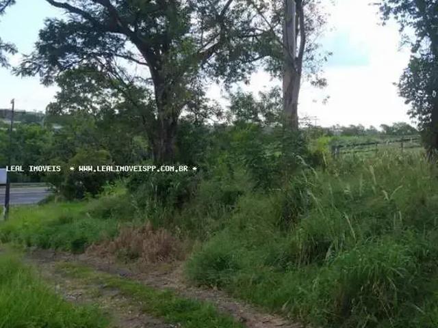 Sítio / Chácara para Venda em Álvares Machado/SP Jardim São Francisco