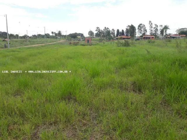 Sítio / Chácara para Venda em Álvares Machado/SP Zona Rural