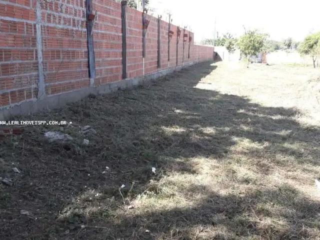 Sítio / Chácara para Venda em Álvares Machado/SP Zona Rural