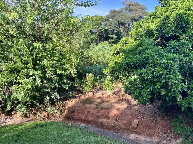Sítio / Chácara para Venda em Álvares Machado/SP Zona Rural