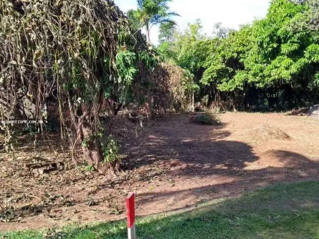 Sítio / Chácara para Venda em Álvares Machado/SP Zona Rural