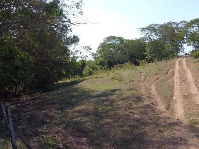 Sítio / Chácara para Venda em Álvares Machado/SP Zona Rural