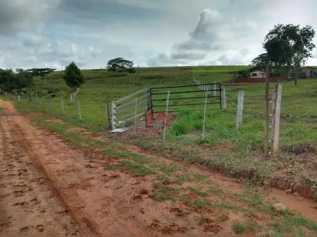 Sítio / Chácara para Venda em Álvares Machado/SP Zona Rural