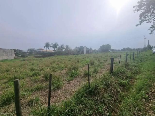 Sítio / Chácara para Venda em Álvares Machado/SP Zona Rural