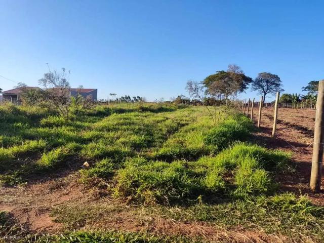 Sítio / Chácara para Venda em Álvares Machado/SP Zona Rural