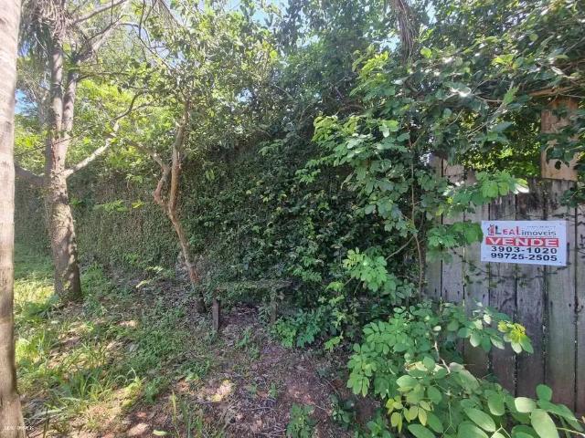 Sítio / Chácara para Venda em Álvares Machado/SP Zona Rural
