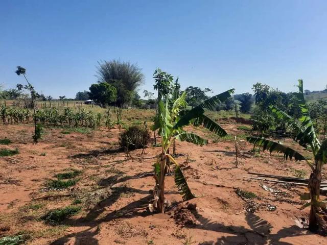 Sítio / Chácara para Venda em Álvares Machado/SP Zona Rural