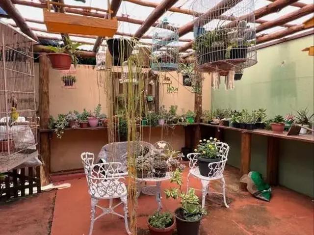 Sítio / Chácara para Venda em Álvares Machado/SP Zona Rural 3 Quartos