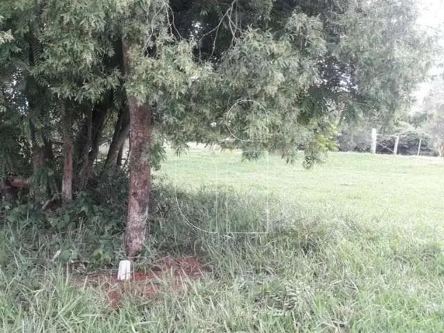 Sítio / Chácara para Venda em Alvinlândia/SP Área Rural de Alvinlândia