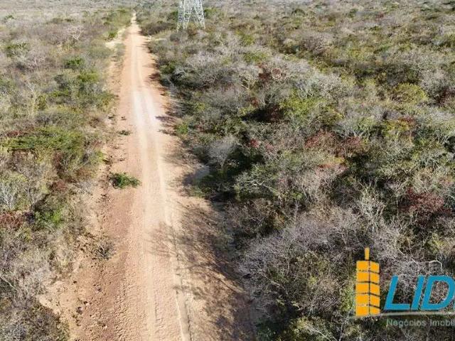 Sítio / Chácara para Venda em Alvorada do Gurguéia/PI Zona Rural