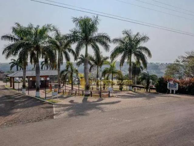 Sítio / Chácara para Venda em Alvorada do Sul/PR Condomínio Riviera do Nascente