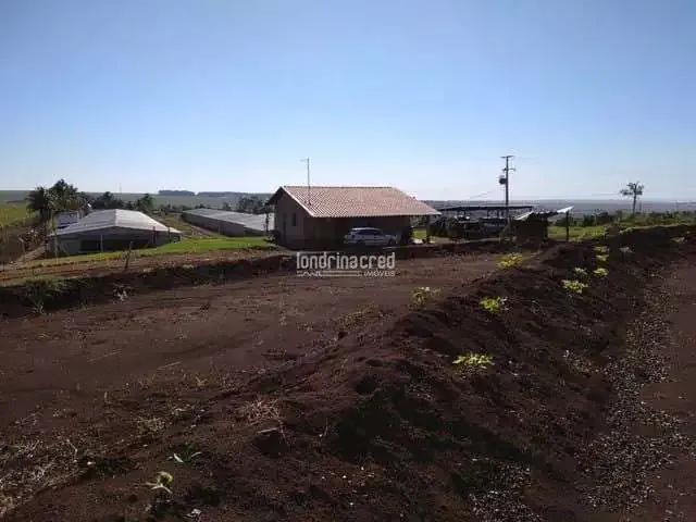 Sítio / Chácara para Venda em Alvorada do Sul/PR Centro