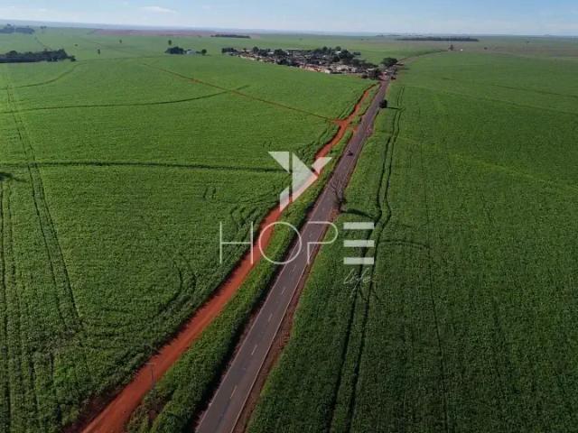 Sítio / Chácara para Venda em Alvorada do Sul/PR Zona Rural
