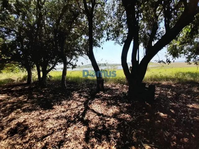 Sítio / Chácara para Venda em Alvorada do Sul/PR Zona Rural 1 Quartos