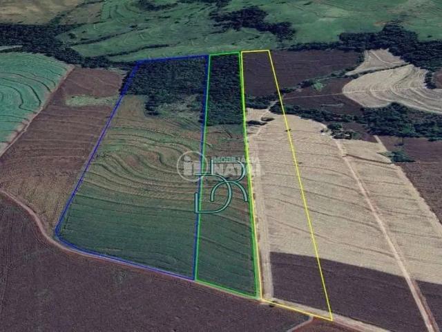 Sítio / Chácara para Venda em Alvorada do Sul/PR Zona Rural