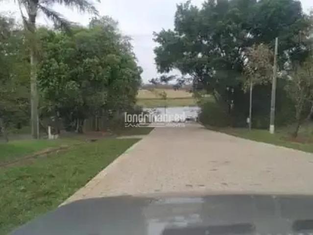 Sítio / Chácara para Venda em Alvorada do Sul/PR Zona Rural 2 Quartos