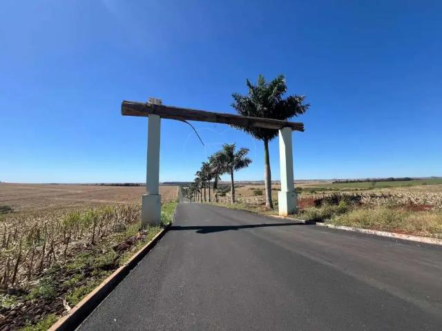 Sítio / Chácara para Venda em Alvorada do Sul/PR Zona Rural 3 Quartos