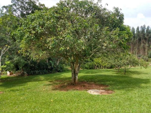 Sítio / Chácara para Venda em Alambari/SP Aterradinho 2 Quartos