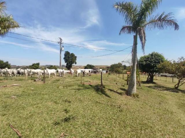 Sítio / Chácara para Venda em Alambari/SP Cercadinho 4 Quartos