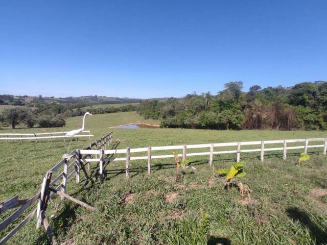 Sítio / Chácara para Venda em Alambari/SP Ribeirãozinho 3 Quartos