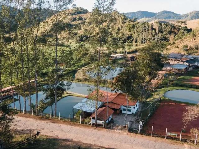 Sítio / Chácara para Venda em Além Paraíba/MG Centro 3 Quartos