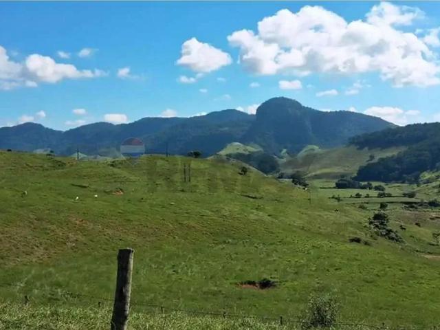 Sítio / Chácara para Venda em Além Paraíba/MG Centro