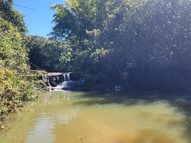Sítio / Chácara para Venda em Alexânia/GO Zona Rural 2 Quartos