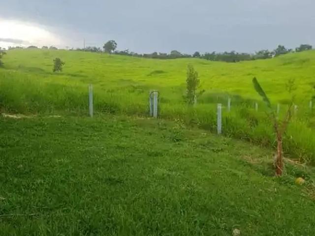 Sítio / Chácara para Venda em Alexânia/GO Centro 3 Quartos
