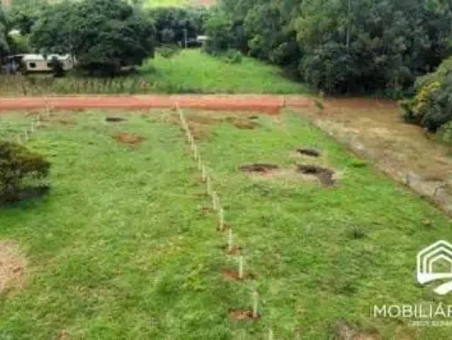Sítio / Chácara para Venda em Alexânia/GO Centro