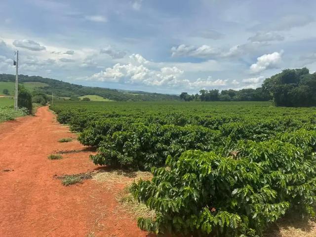 Sítio / Chácara para Venda em Alfenas/MG Área Rural de Alfenas