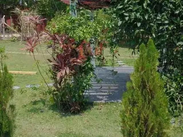Sítio / Chácara para Venda em Alfredo Marcondes/SP Zona Rural 3 Quartos