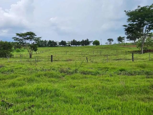 Sítio / Chácara para Venda em Alfredo Marcondes/SP Zona Rural
