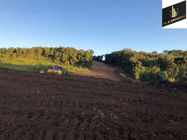 Sítio / Chácara para Venda em Almirante Tamandaré/PR Área Rural de Almirante Tamandaré