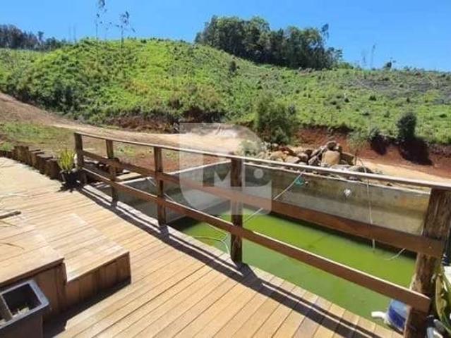 Sítio / Chácara para Venda em Almirante Tamandaré/PR Área Rural de Almirante Tamandaré 3 Quartos