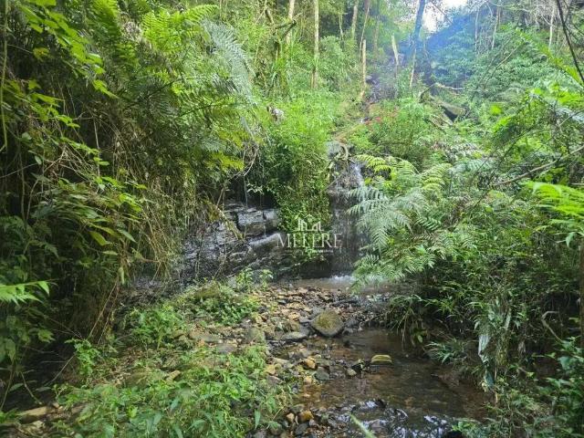 Sítio / Chácara para Venda em Almirante Tamandaré/PR Colônia Santa Gabriela