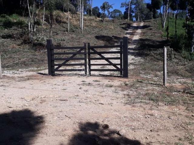 Sítio / Chácara para Venda em Almirante Tamandaré/PR Pacotuba 1 Quartos