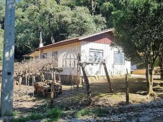 Sítio / Chácara para Venda em Almirante Tamandaré/PR Pacotuba 2 Quartos