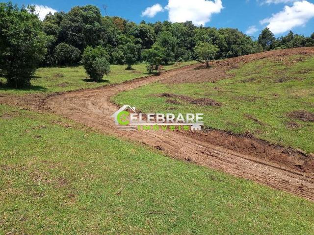 Sítio / Chácara para Venda em Almirante Tamandaré/PR Pacotuba